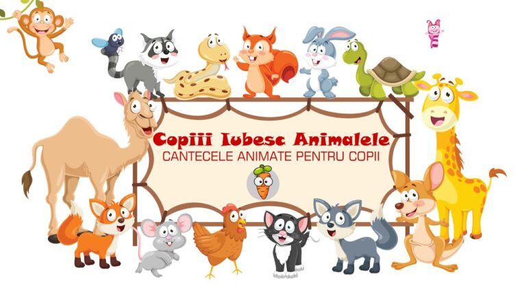 Cântece Pentru Copii cu Animale Domestice | Zicala.ro