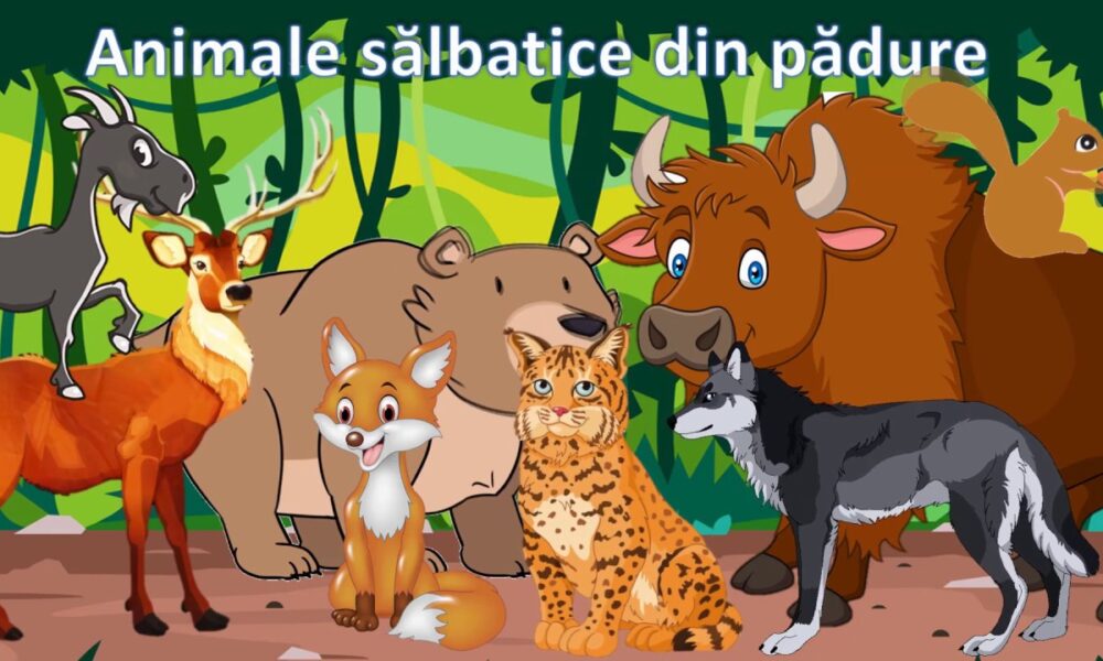 Top 10 Animale Sălbatice Spectaculoase din România